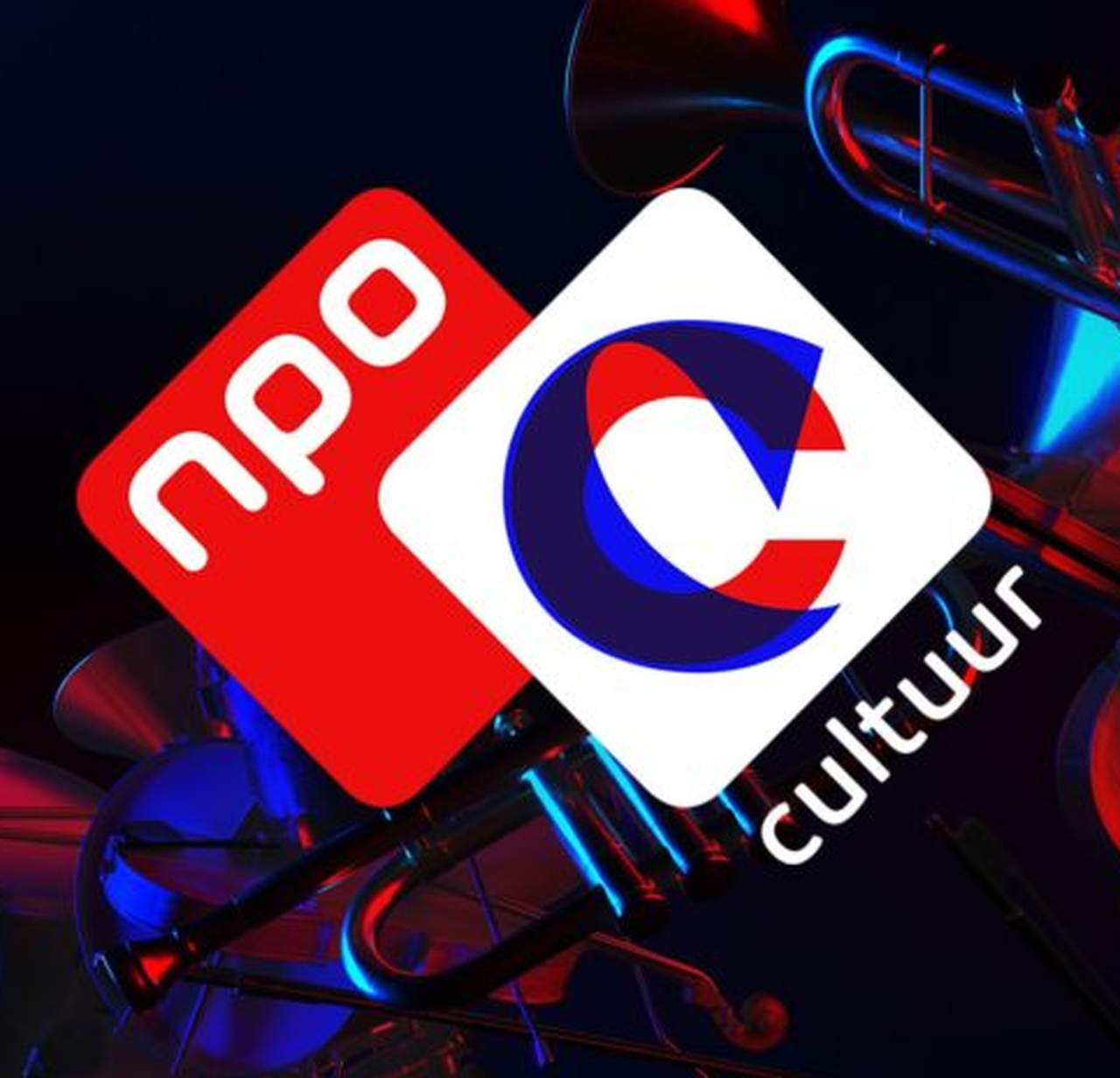 NPO.nl | Lowlands 2025 on demand: thuis vooraan bij het hoofdpodium